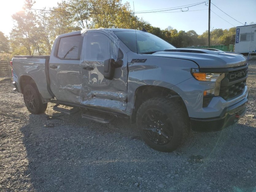 Salvage pickup For Sale - Buy wrecked and repairable vehicles | BidGoDrive